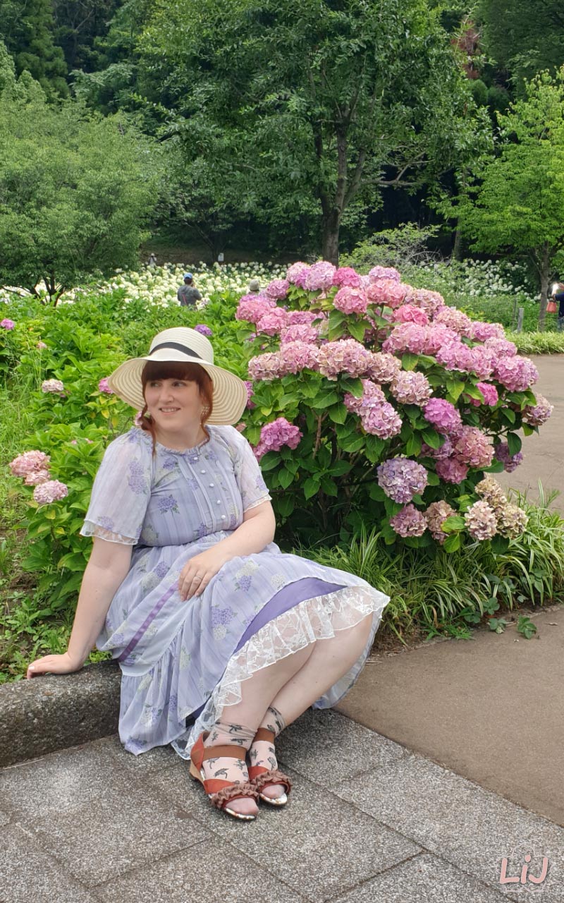 AJISAI - Where to find Hydrangea Spots in & around Tokyo - Kura in Japan 🌸